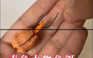 青鱼怎么钓_青鱼钓法技巧