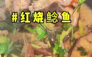 红烧鲶鱼怎么做好吃_红烧鲶鱼的家常做法