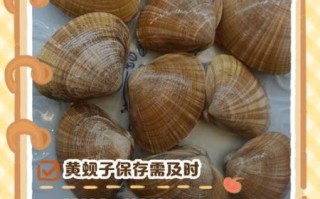 黄蚬子怎么清洗_黄蚬子怎么吐沙干净