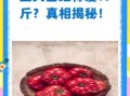 吃了三天西红柿瘦了_真的假的