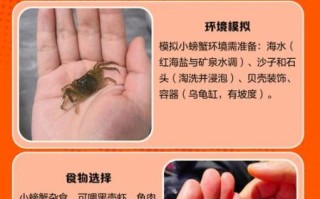 螃蟹吃什么饲料_家养螃蟹饲料配方