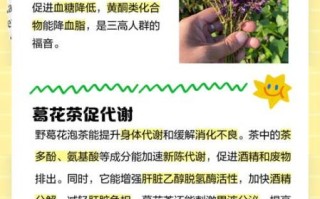 葛花泡水喝的功效与作用_葛花泡水喝的正确方法