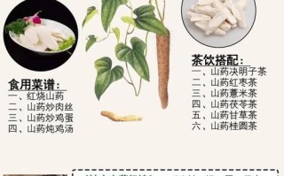 铁棍山药禁忌人群_哪些人不能吃铁棍山药