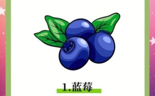 男人养肾最佳水果有哪些_男人吃什么水果补肾最快