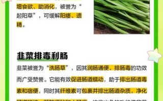 韭菜的功效与作用_韭菜壮阳是真的吗
