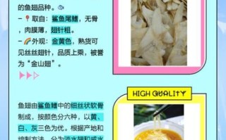 鱼翅和鸡蛋哪个营养高_鱼翅与鸡蛋营养价值对比