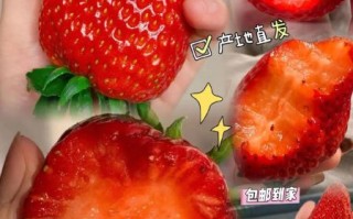 丹东特产有哪些值得买_丹东草莓怎么挑选