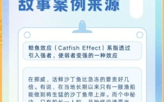 鲢鱼效应还是鲶鱼效应_哪个说法正确