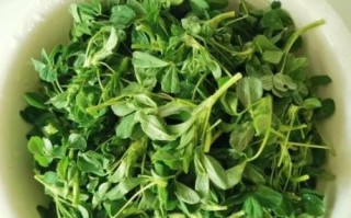 苜怎么读_苜字拼音与含义全解