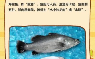 海桂鱼多少钱一斤_海桂鱼怎么做好吃