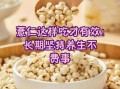 薏仁米怎么吃减肥_薏仁米功效与作用禁忌