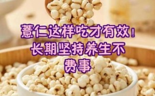 薏仁米怎么吃减肥_薏仁米功效与作用禁忌