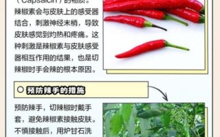切青椒手辣多久能好_手被辣椒辣到怎么快速止痛