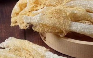 竹荪菌多少钱一斤_竹荪菌价格走势