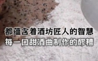 甜酒怎么制作_甜酒酿做法视频教程