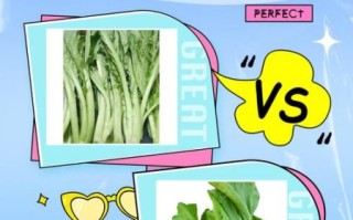 盖菜长什么样子_盖菜和芥菜的区别