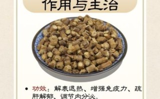 北柴胡的功效与作用_北柴胡的副作用有哪些