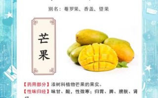 芒果的营养价值_芒果有哪些功效与作用