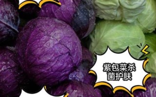 紫包菜怎么保存_紫包菜可以生吃吗