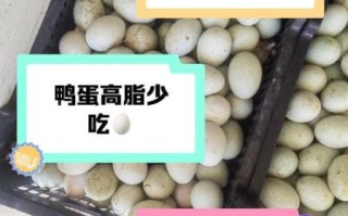 鸭蛋为什么不能长期吃_长期吃鸭蛋的危害
