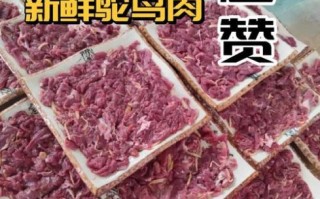 鸵鸟肉怎么做好吃_鸵鸟肉制作方法