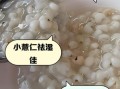 大薏仁米和小薏仁米的区别_功效对比哪个好