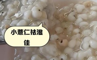 大薏仁米和小薏仁米的区别_功效对比哪个好