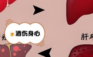 喝酒对身体有什么好处和坏处_长期饮酒的危害有哪些