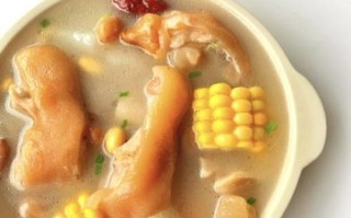 秋季猪蹄煲汤最佳搭配_什么食材最滋补不上火