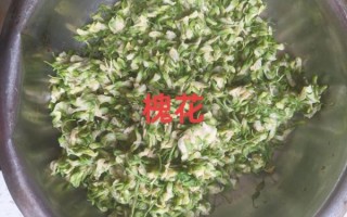 猪肉槐花饺子馅怎么做_槐花饺子馅怎么调好吃