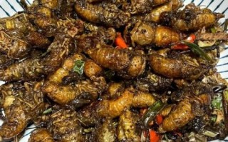 油炸知了猴怎么炸才酥脆_知了猴油炸前要不要焯水