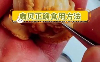 扇贝什么地方不能吃_图解部位