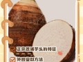 芋头图片高清_如何挑选优质芋头