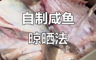 怎样腌咸鱼_咸鱼腌制方法大全