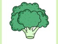西兰花简笔画怎么画_西兰花图片简笔画教程