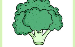 西兰花简笔画怎么画_西兰花图片简笔画教程