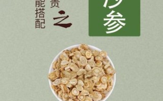 北沙参的功效与作用禁忌_适合哪些人吃