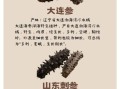 海参品种排名和价格_哪种海参最贵