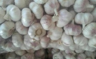 大蒜论坛怎么注册_大蒜论坛邀请码获取方法