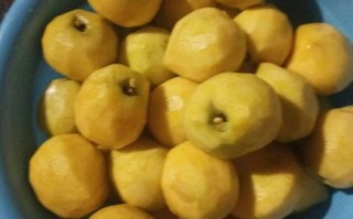 桃罐头怎么做_自制桃罐头能保存多久