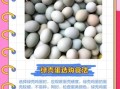 绿壳鸡蛋和普通鸡蛋有区别吗_营养价值对比