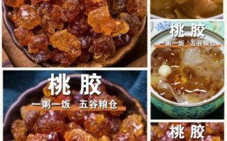 桃胶多少钱一斤合理_桃胶价格受哪些因素影响