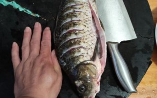 鲫鱼豆腐汤怎么炖好喝_鲫鱼豆腐汤的家常做法