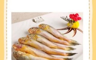 梅子鱼和小黄鱼有什么区别_哪个更好吃