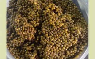 鲟鳇鱼籽的营养价值_孕妇能吃吗