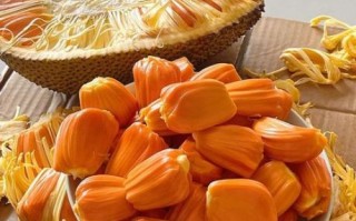 菠萝蜜核吃了会中毒吗_中毒症状多久出现