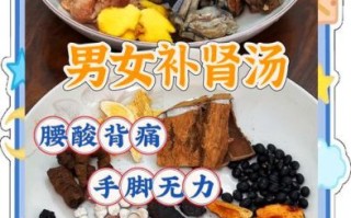 男士滋阴补肾汤谱大全_哪些汤最见效
