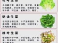 生菜不能和什么一起吃_生菜哪些人不能吃