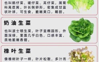 生菜不能和什么一起吃_生菜哪些人不能吃