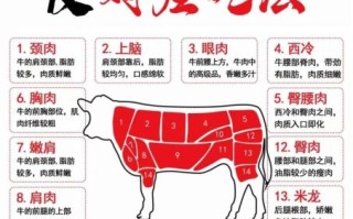 雪花牛肉粒怎么做_雪花牛肉粒用什么部位